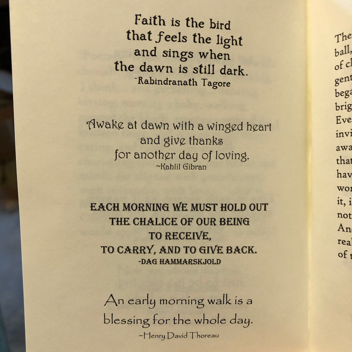 The Beautiful Ordinary~ uplifting inspirations – Tending Joy